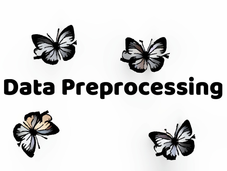Products and Services – learndataa